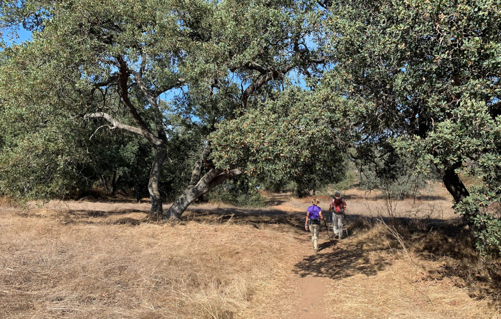 May 18 – Hike Burnt Mtn, from Cougar Pass Trailhead – North Coast ...